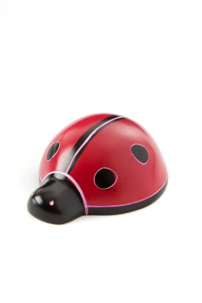 Good Luck Ladybug – Shop Kizuri